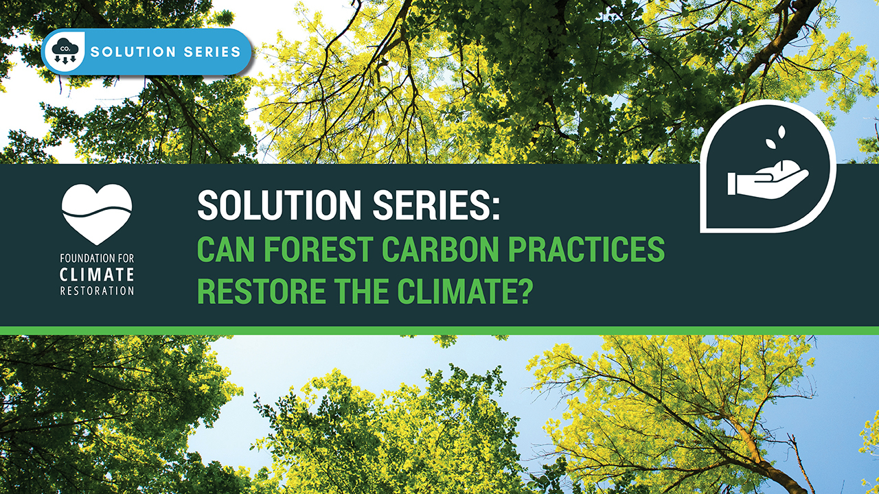 Forest Carbon Practices Animated Explainer Video - Foundation For ...